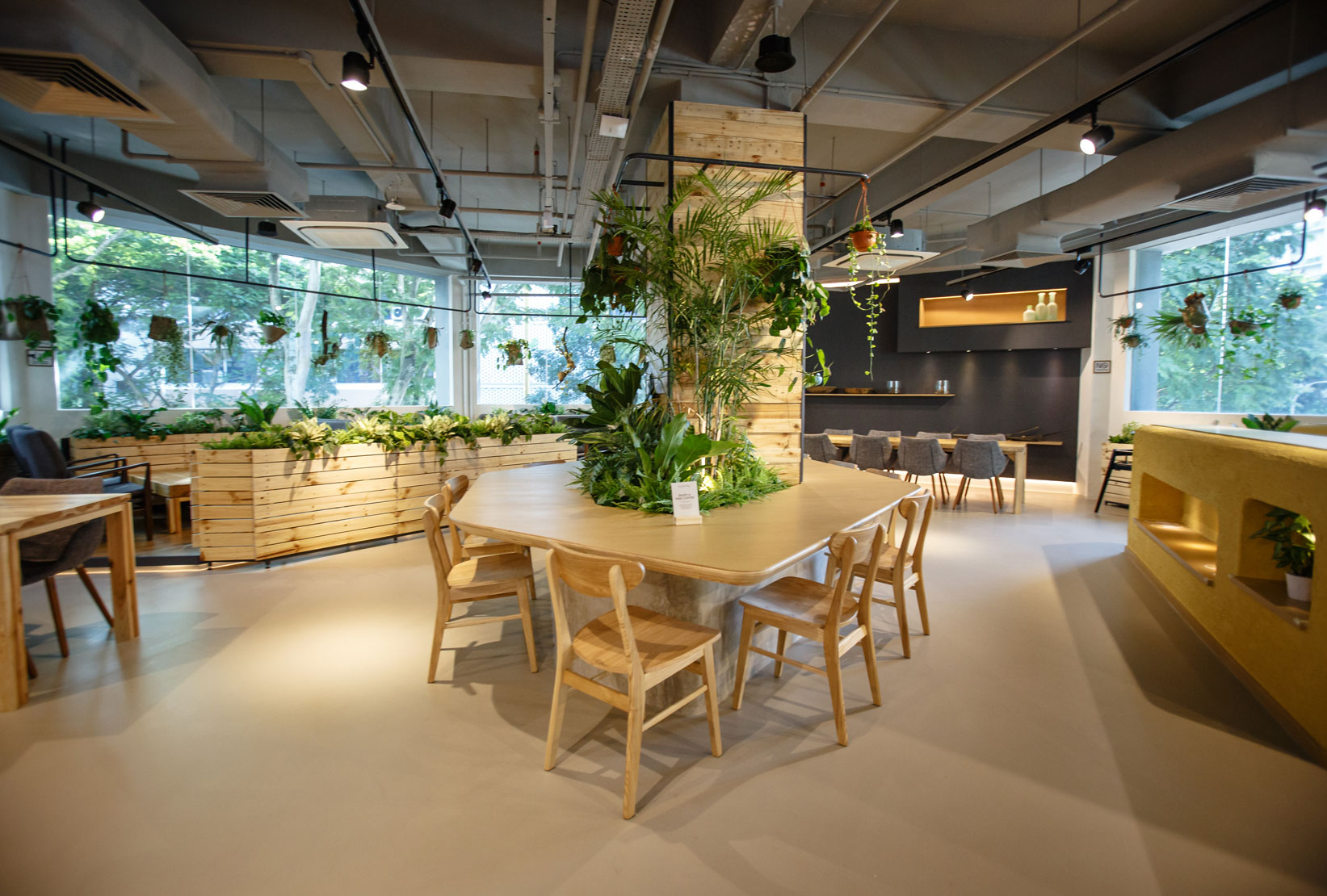 MAHOTA COMMUNE – CONSULTOCTAD